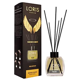 Loris Odorizant camera bete 120 ml Black Angel - ImportDirect